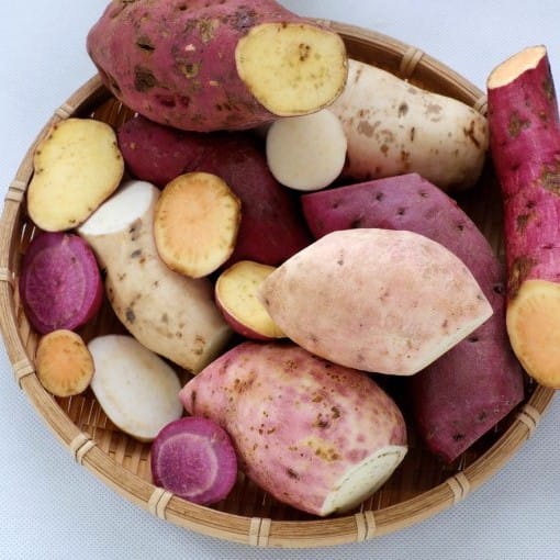 camote-batata-sweet-potato - Survival Gardener | A Garden For the End ...